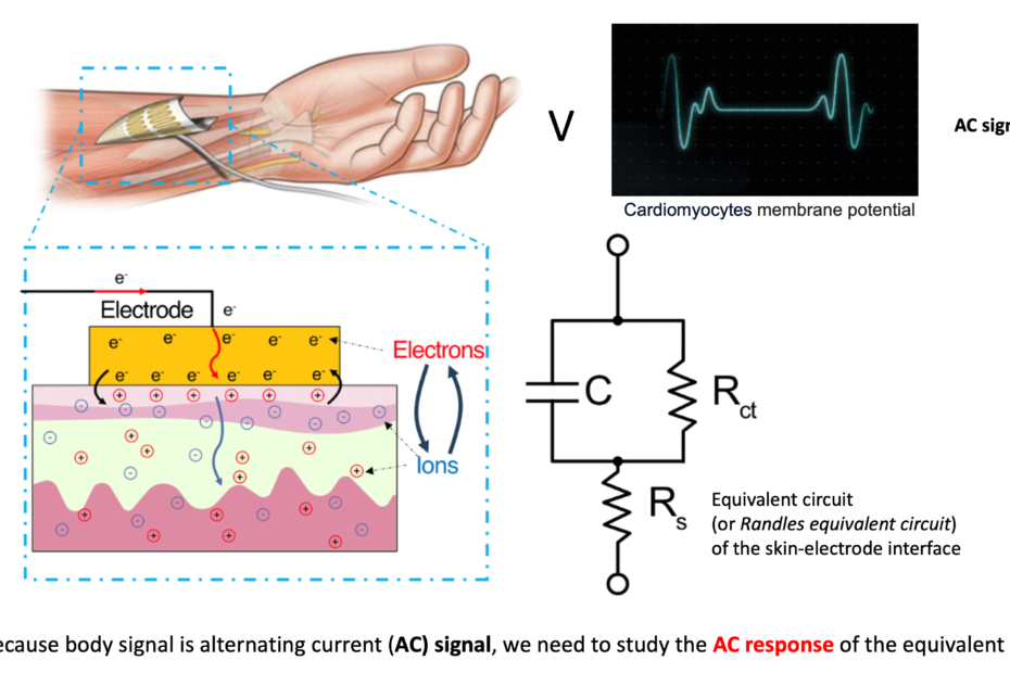 BMED 4500 Biomedical Instrumentation and Systems – HKU-WISE Lab