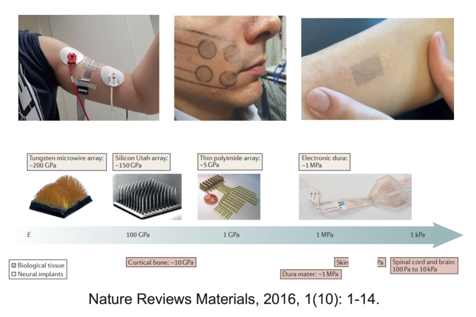 BMED 3504 Biomedical Engineering Laboratory – HKU-WISE Lab